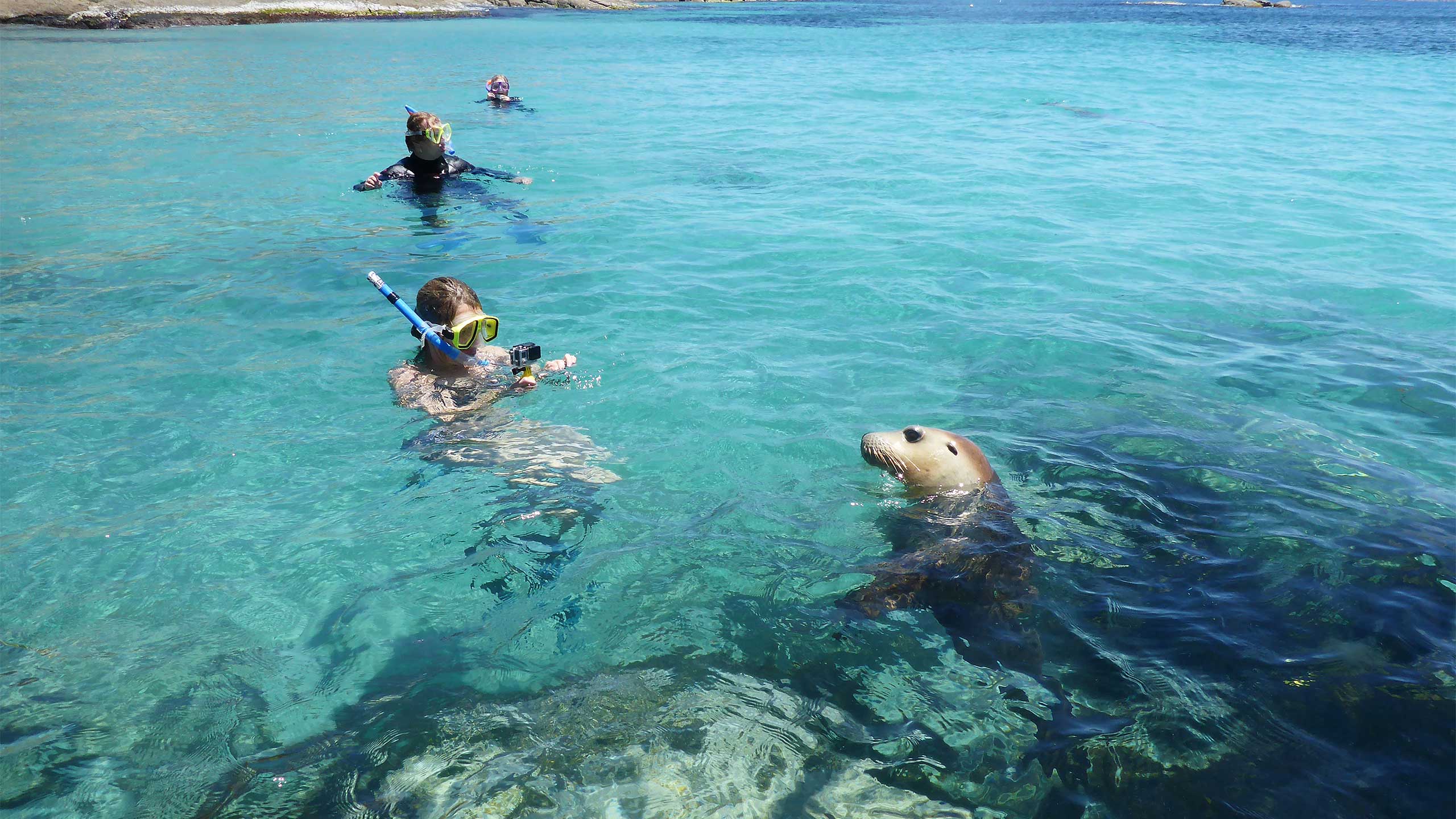 Photo Galleries | Calypso Shark Cage Diving